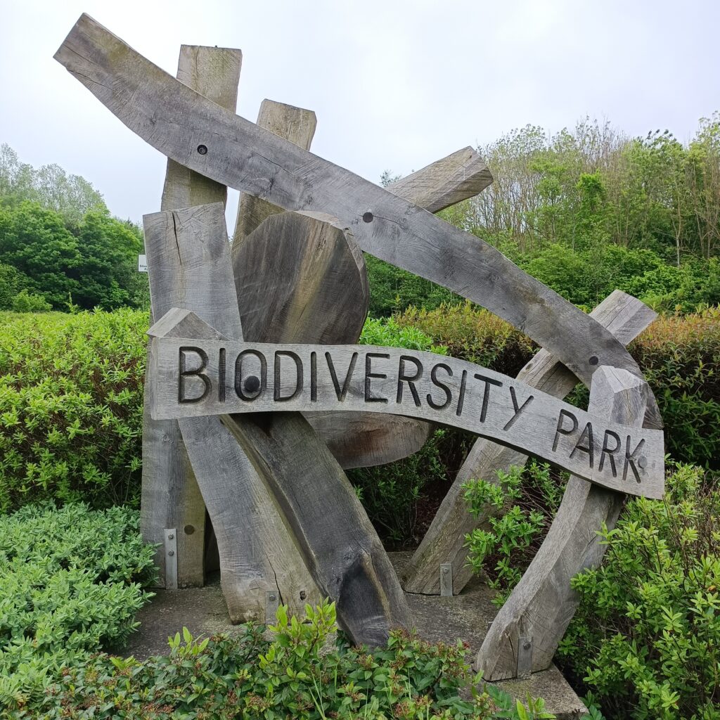 Something for the weekend: Silverlink Park Local Nature Reserve | North ...