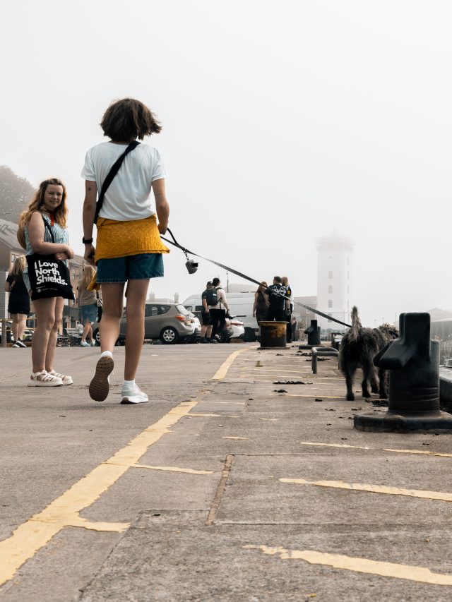 North Shields to join the running for UK Town of Culture 2028 after a ...