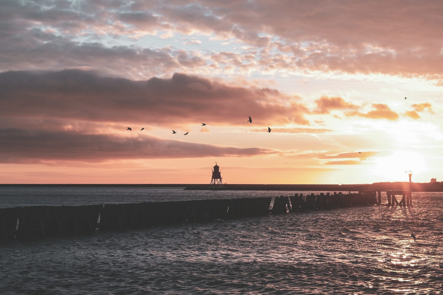 North Shields to join the running for UK Town of Culture 2028 after a ...